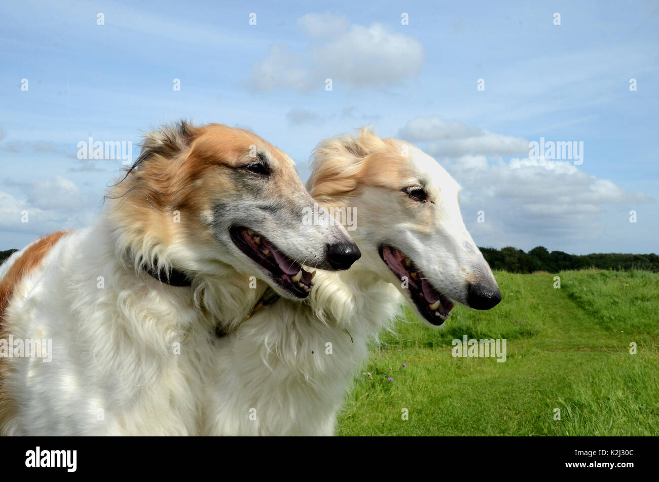 Standing beside each other hi-res stock photography and images - Alamy