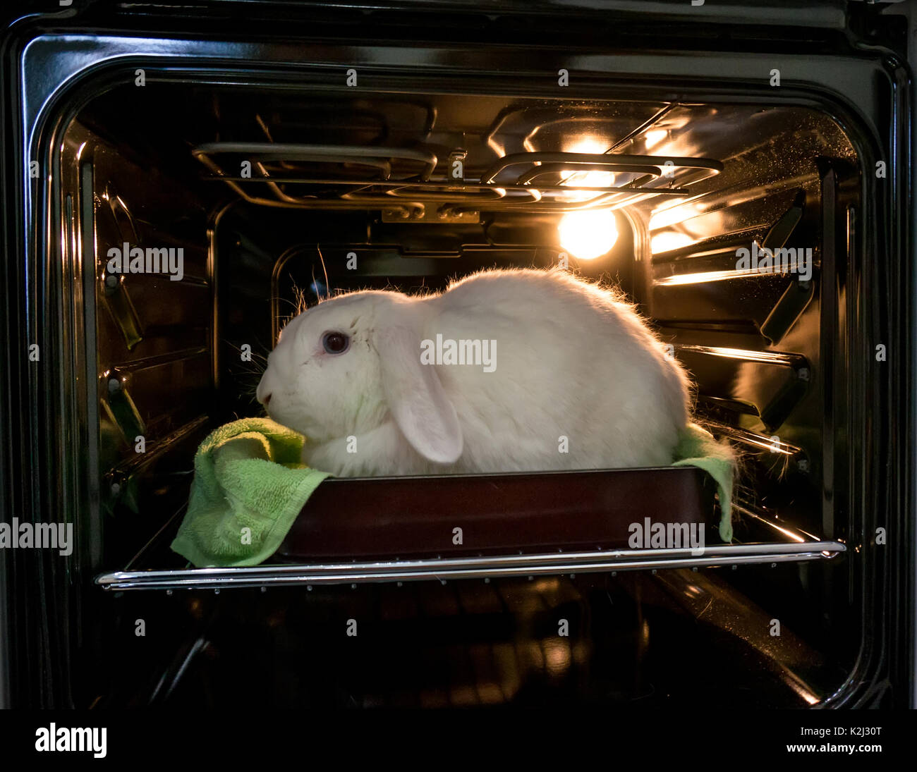 Killing the rabbit hi-res stock photography and images - Alamy