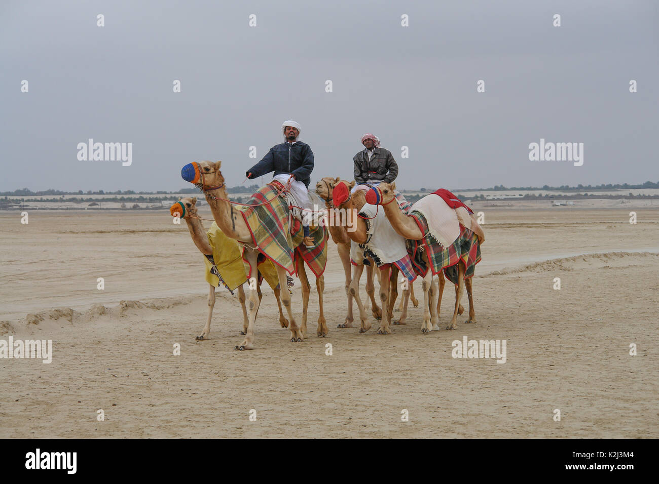Camel Racing Abu Dhabi Stock Photos & Camel Racing Abu Dhabi Stock ...