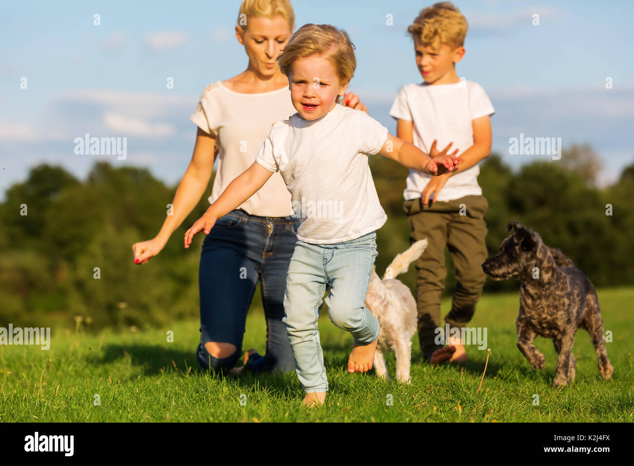picture of a mother with two children and two small dogs who are ...