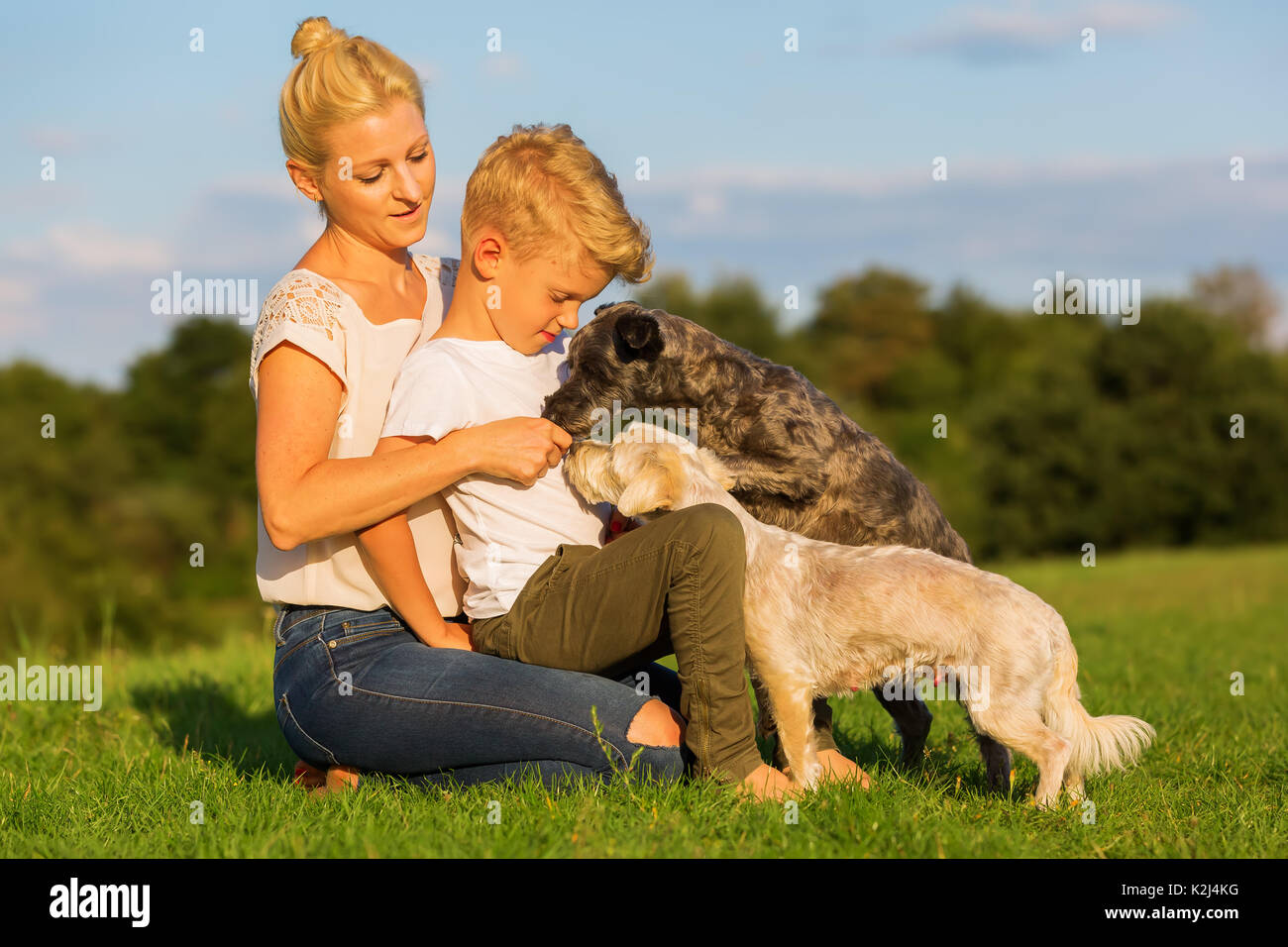 picture of a mother with her son playing with two small dog outdoors ...