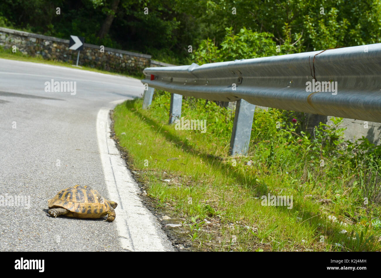 Car turn turtle hi-res stock photography and images - Alamy