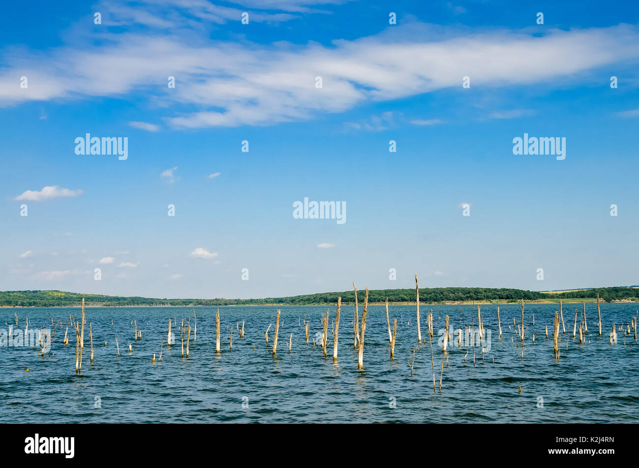 Old lake growing water hi-res stock photography and images - Alamy