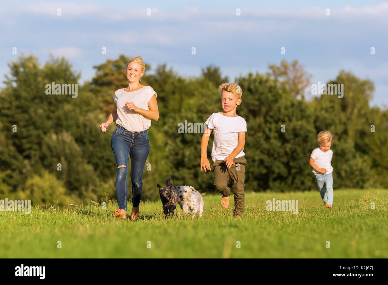 picture of a mother with two boys and two dogs who runs over a meadow ...