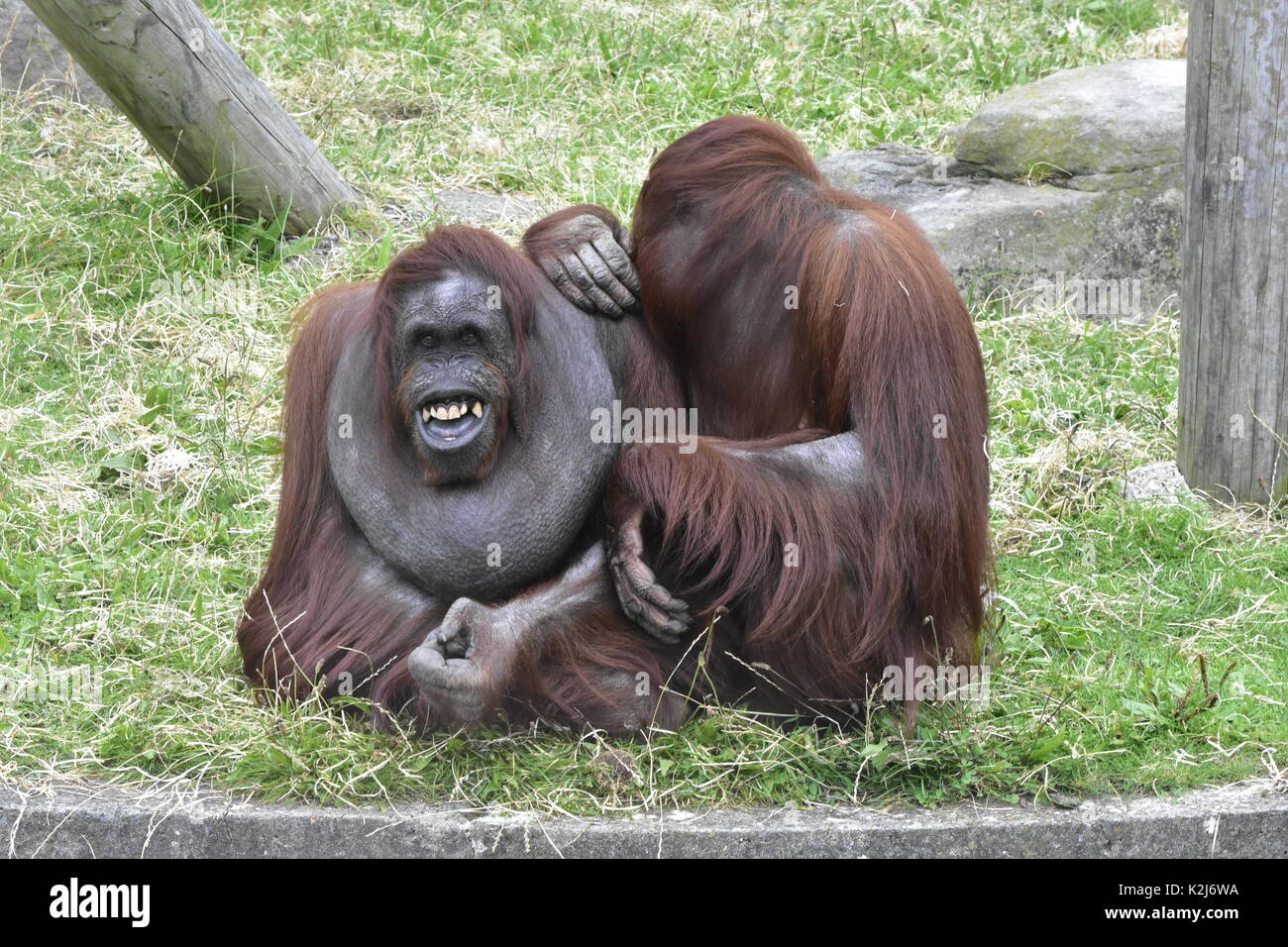 Haity hi-res stock photography and images - Alamy