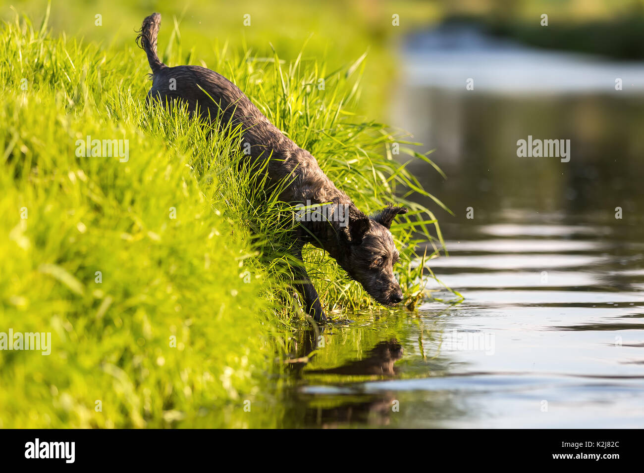 Riverside hybrid hi-res stock photography and images - Alamy