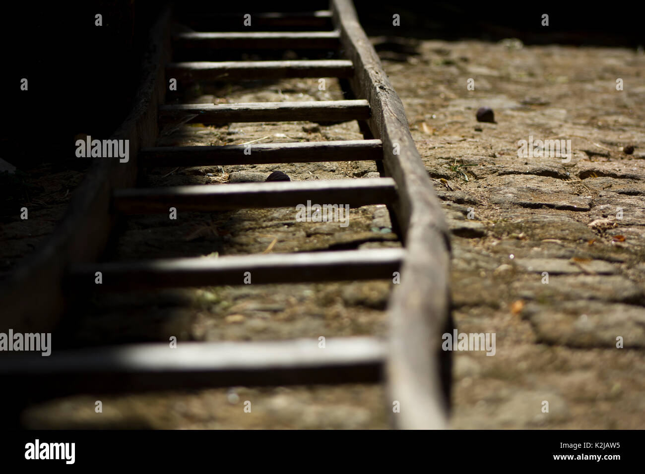 Old wooden ladder Stock Photo - Alamy