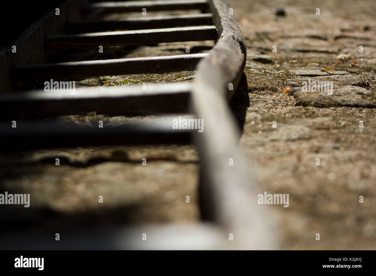 Old wooden ladder Stock Photo - Alamy