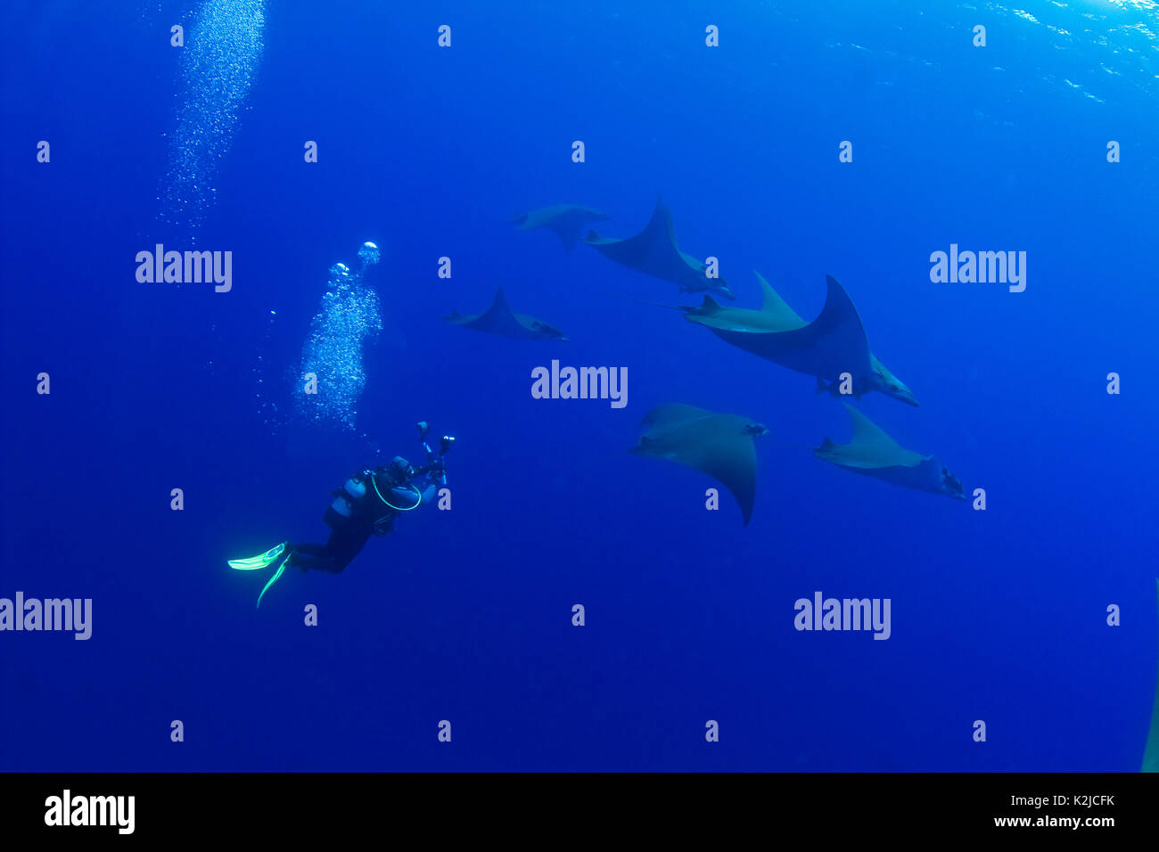 A scuba diver explores a ship wreck Dori in Azores Islands, Portugal ...