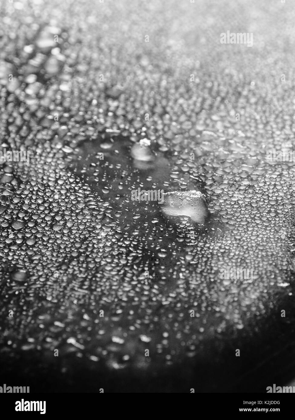 Frozen water drops in black and white Stock Photo - Alamy
