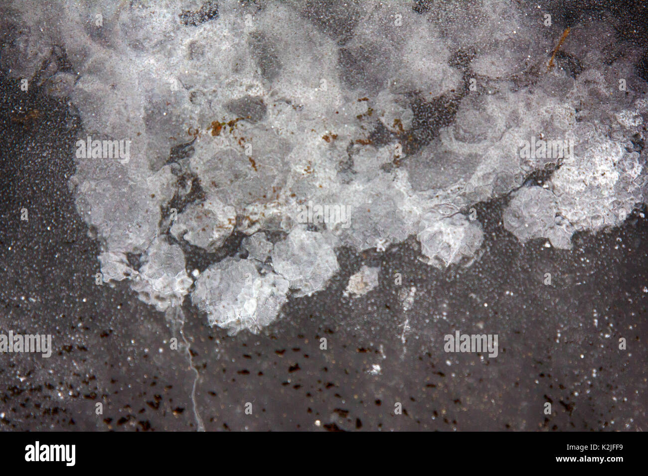 background ice beautiful after a heavy frost. frozen in ice cavity with ...