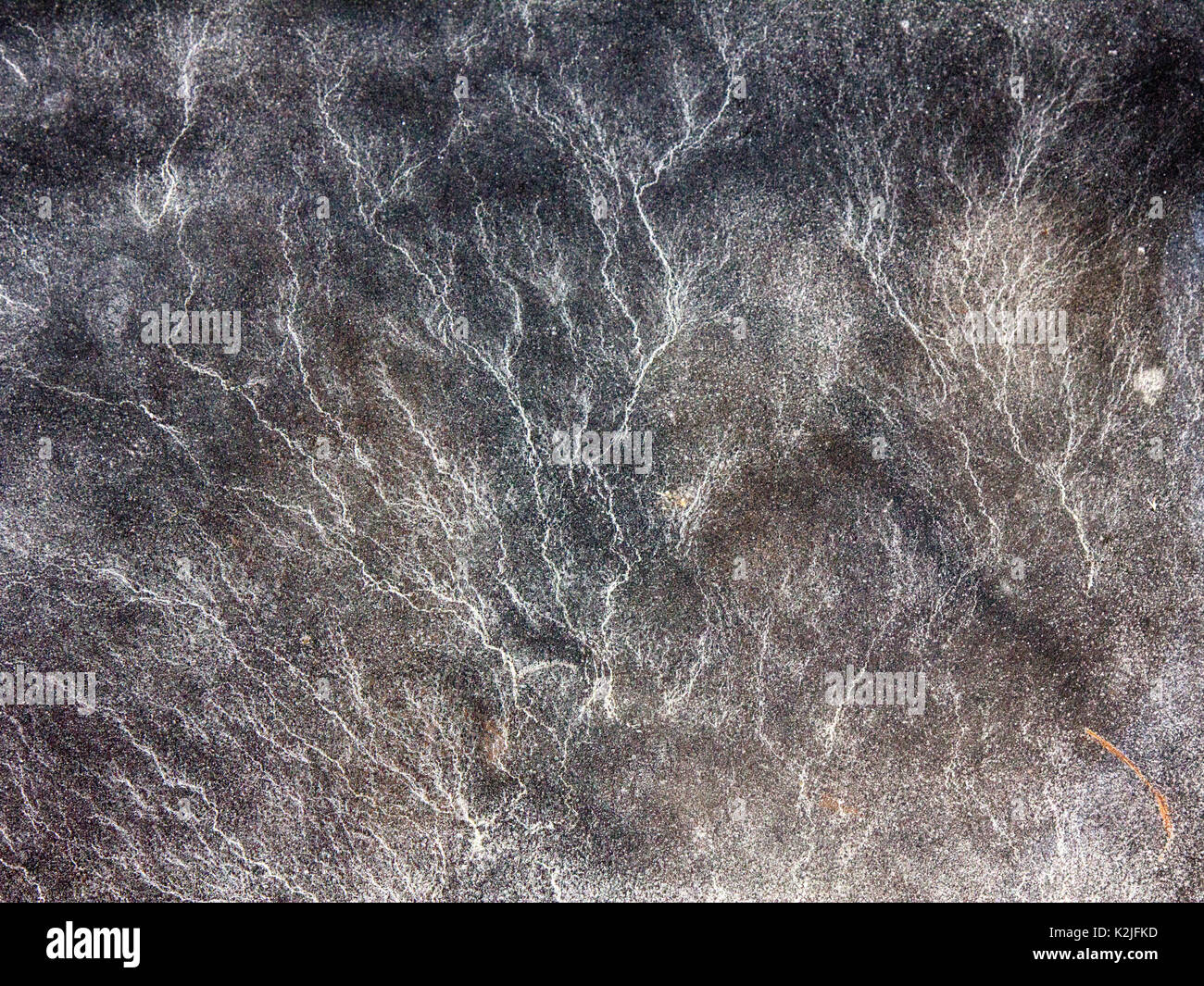 background ice beautiful after a heavy frost. frozen in ice snow in a ...