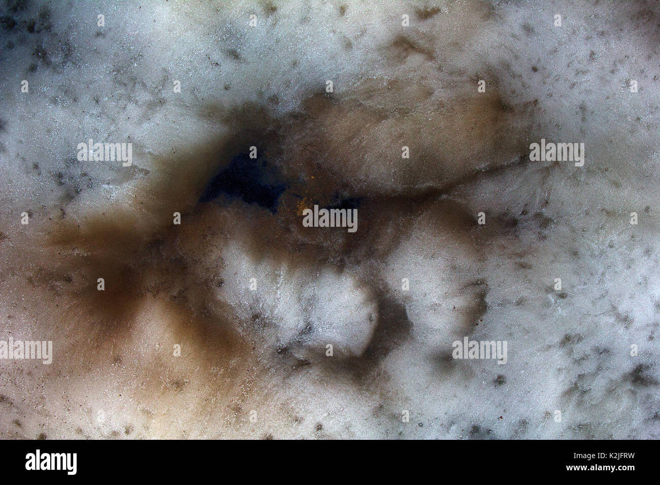 background ice beautiful after a heavy frost. frozen in ice snow in a ...