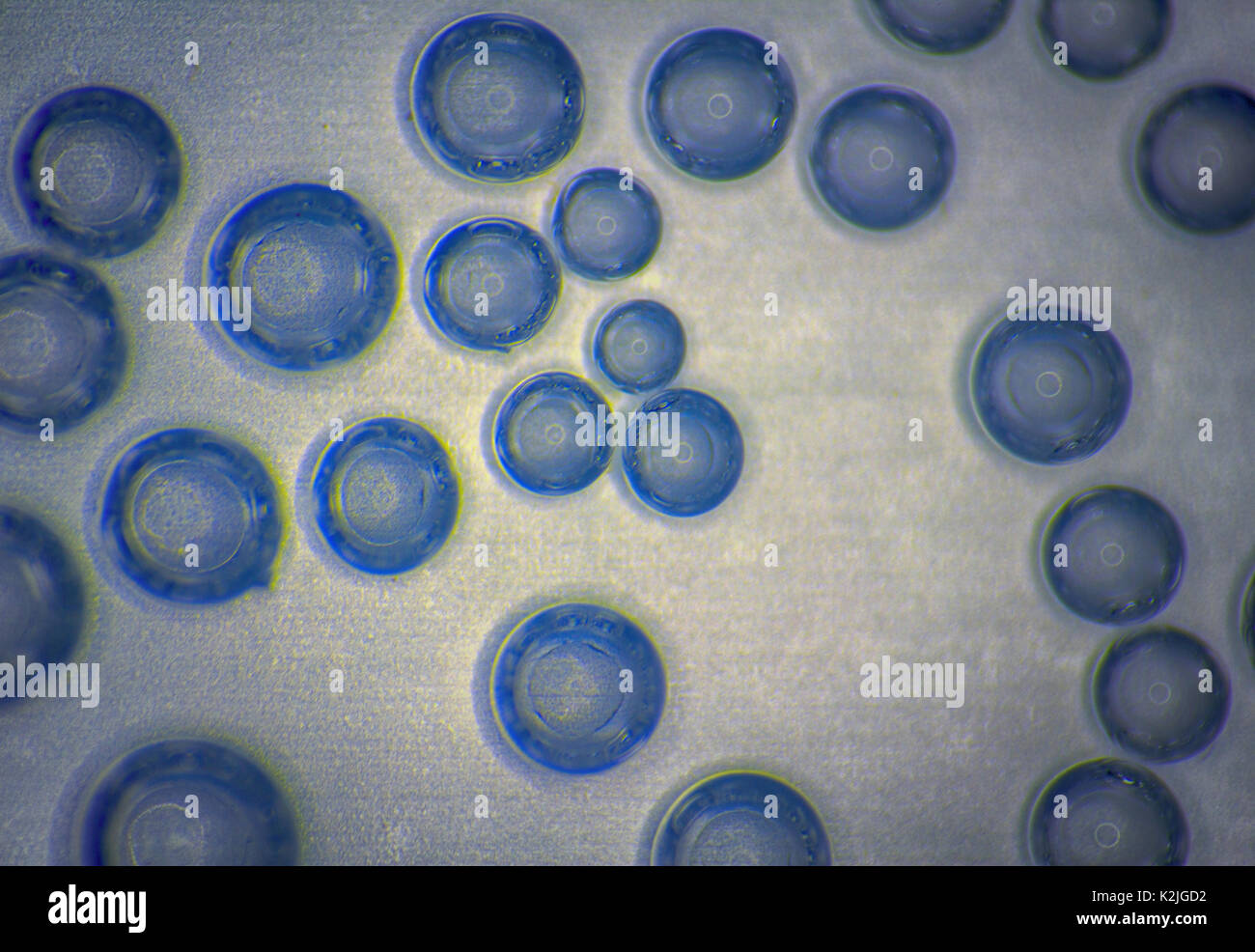 Harmonic backgrounds (screensaver). Air bubbles in water (bleb) on ...