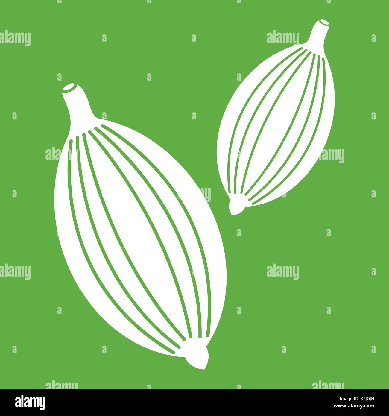 Whole green cardamom pods Stock Vector Images - Alamy