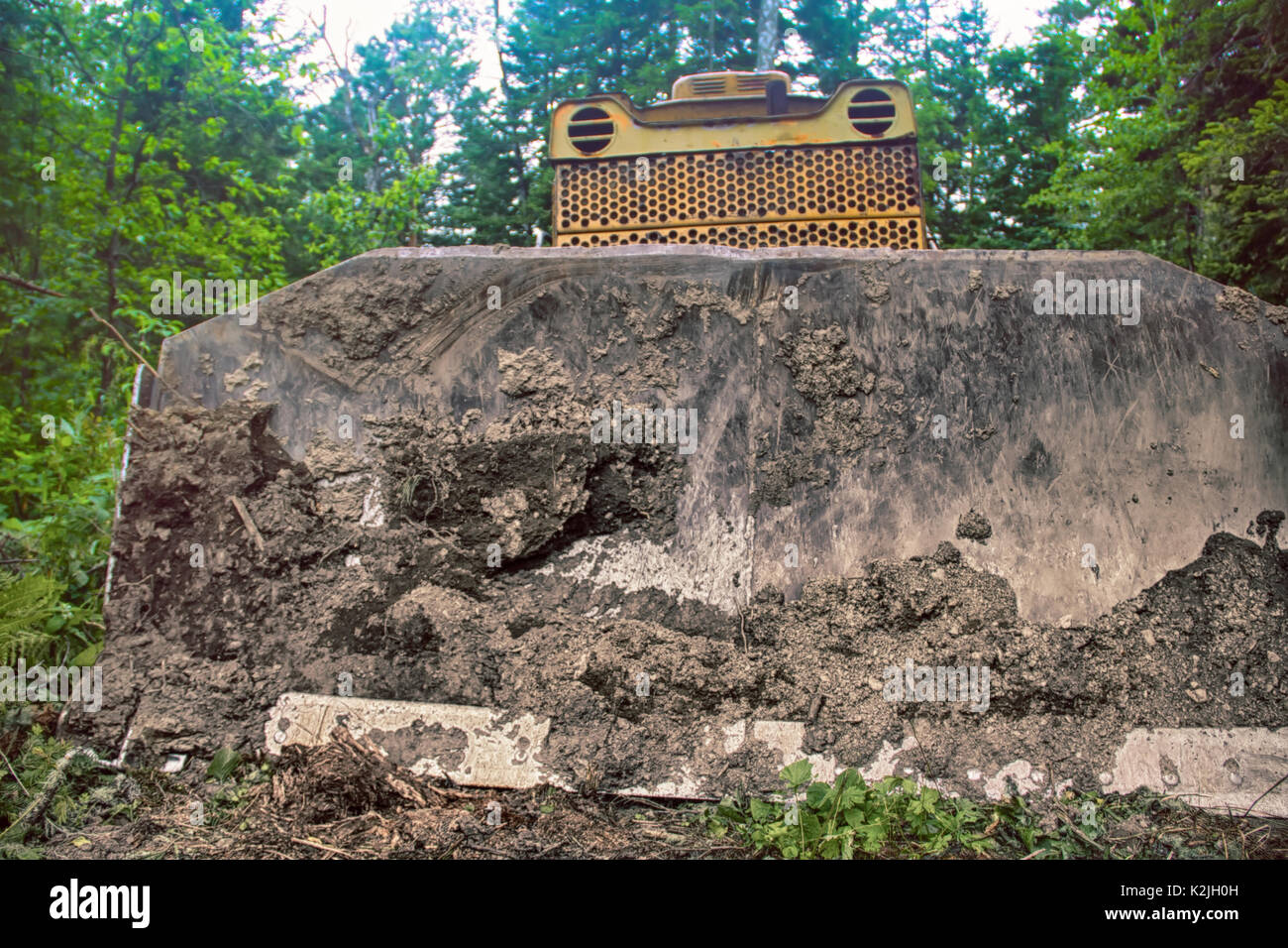 Destruction of forests for construction. Bulldozer clears site for ...