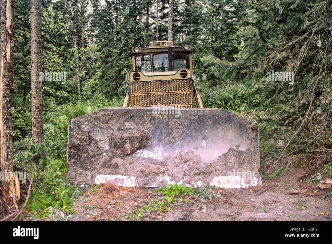 Destruction of forests for construction. Bulldozer clears site for ...