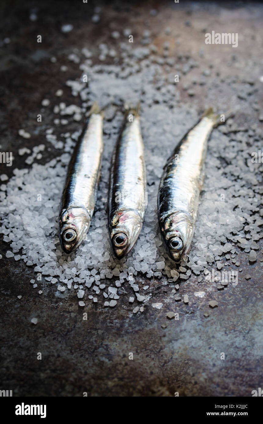 Salted anchovies hi-res stock photography and images - Alamy