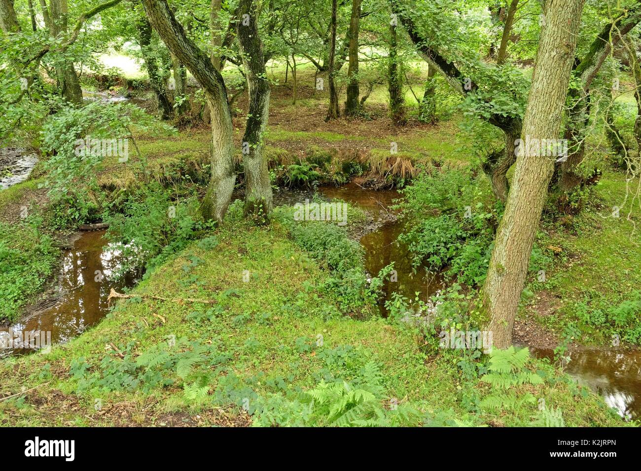 Downs banks hi-res stock photography and images - Alamy