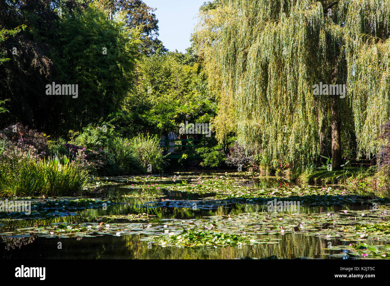 Monet tree hi-res stock photography and images - Alamy