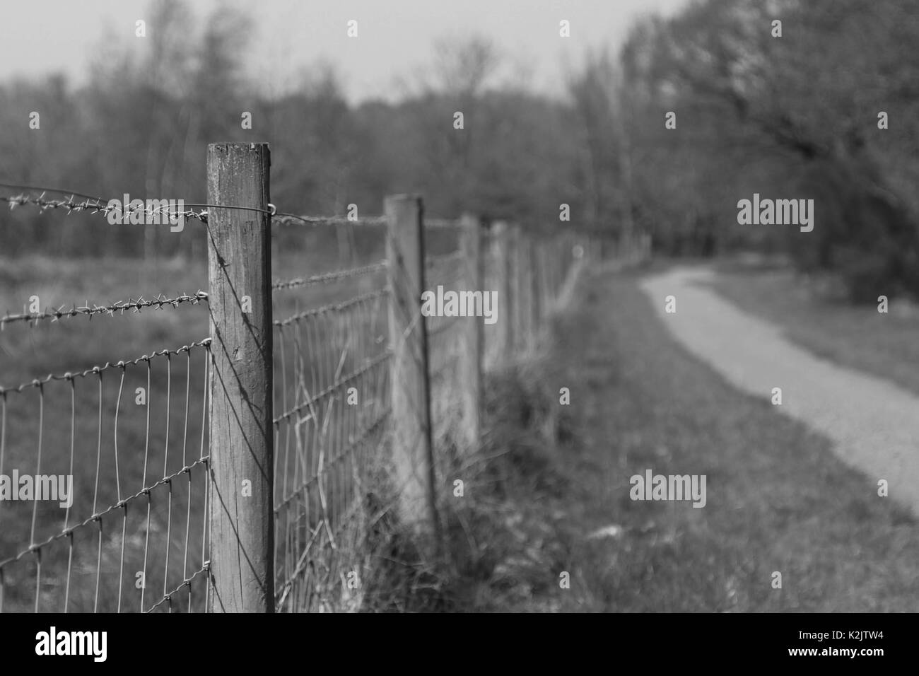 Bard wire hi-res stock photography and images - Alamy