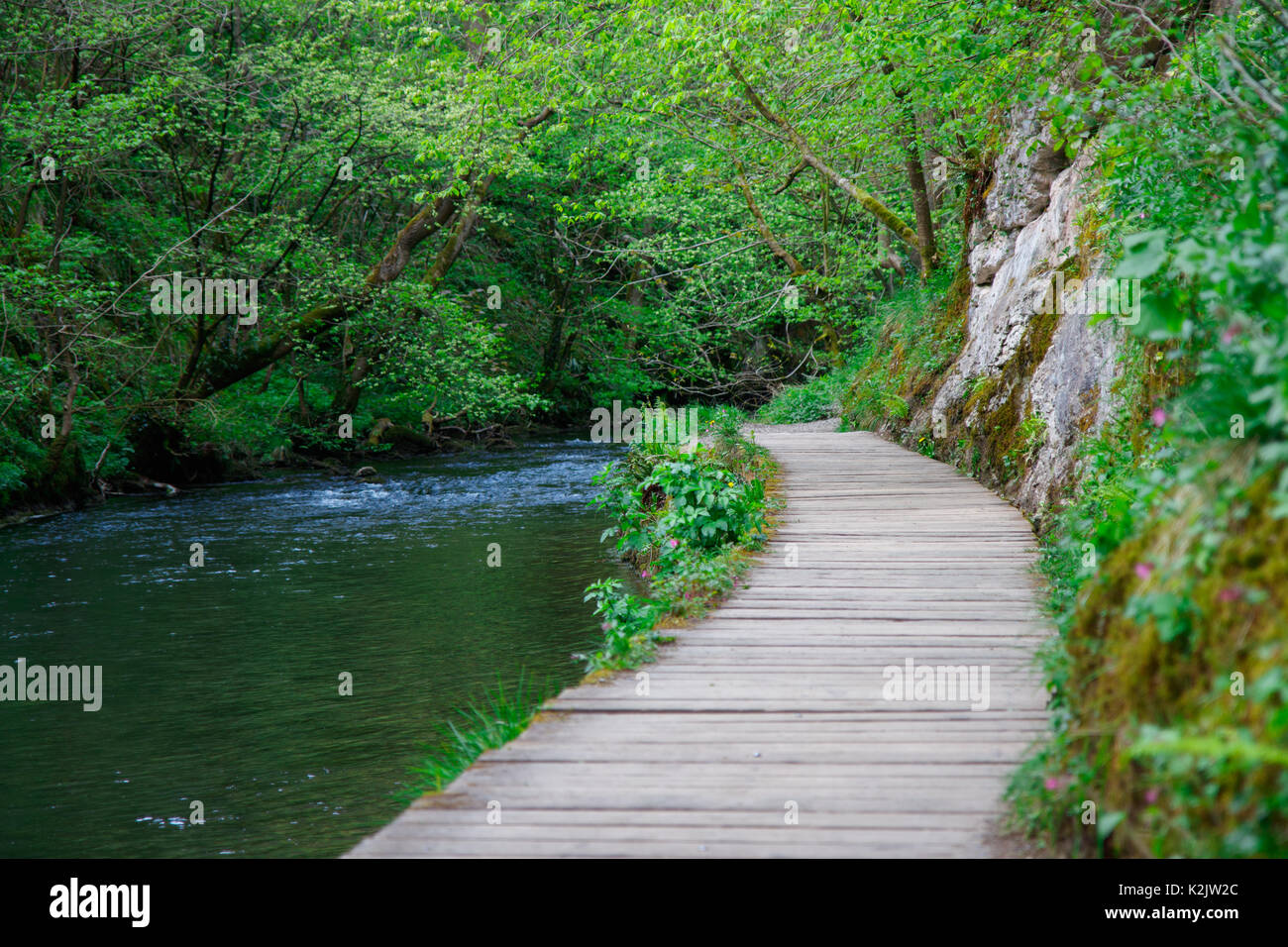 Pathway along a stream hi-res stock photography and images - Alamy