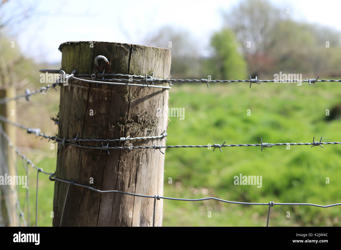 Bard wire hi-res stock photography and images - Alamy