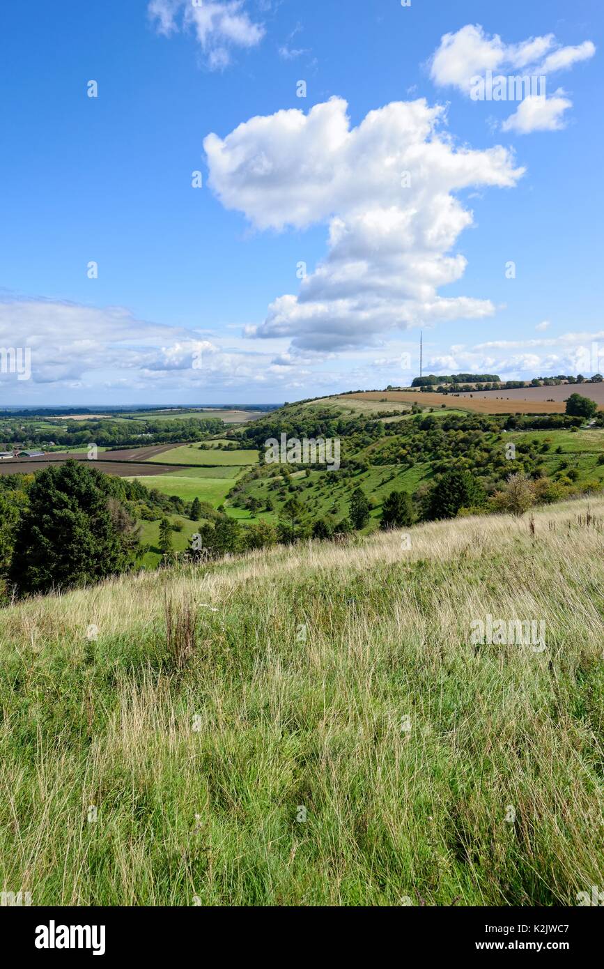 Kingsclere walk hi-res stock photography and images - Alamy
