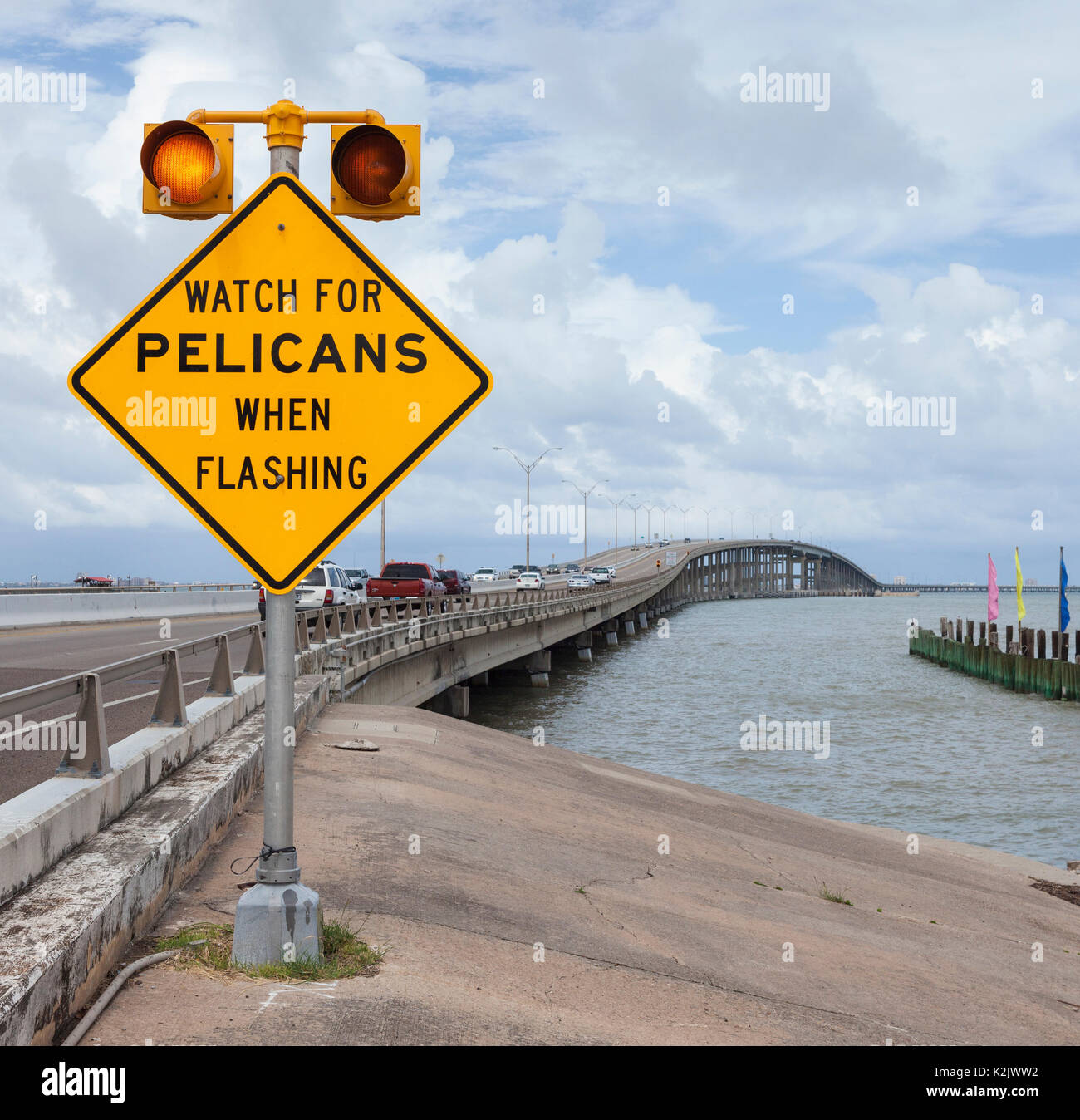 Pelican warning sign, Queen Isabella Memorial Bridge Causeway between ...