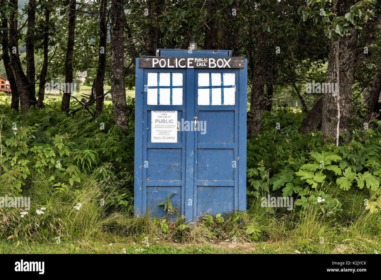Tardis Police Public Call Box