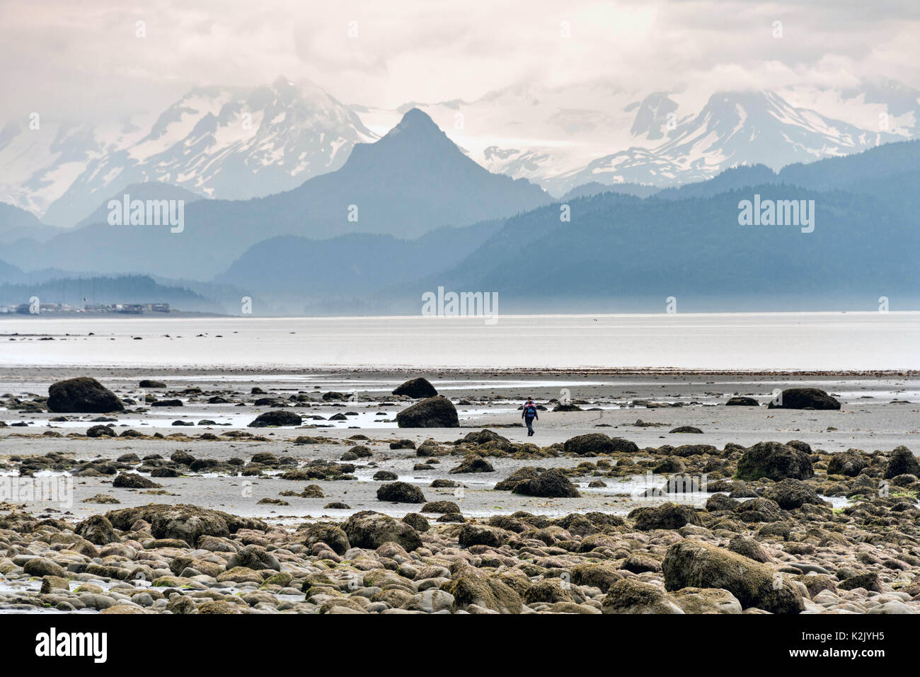 People explore the tidal pools along Bishops Beach, a sand and mud ...