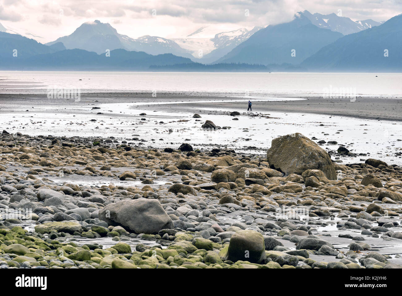 People explore the tidal pools along Bishops Beach, a sand and mud ...