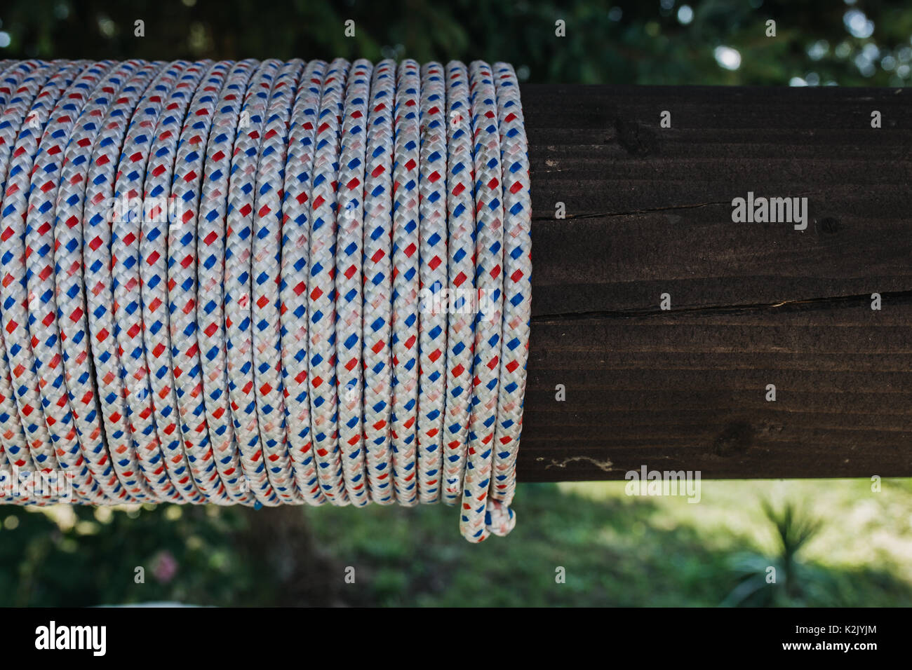 Tied to stake hi-res stock photography and images - Alamy