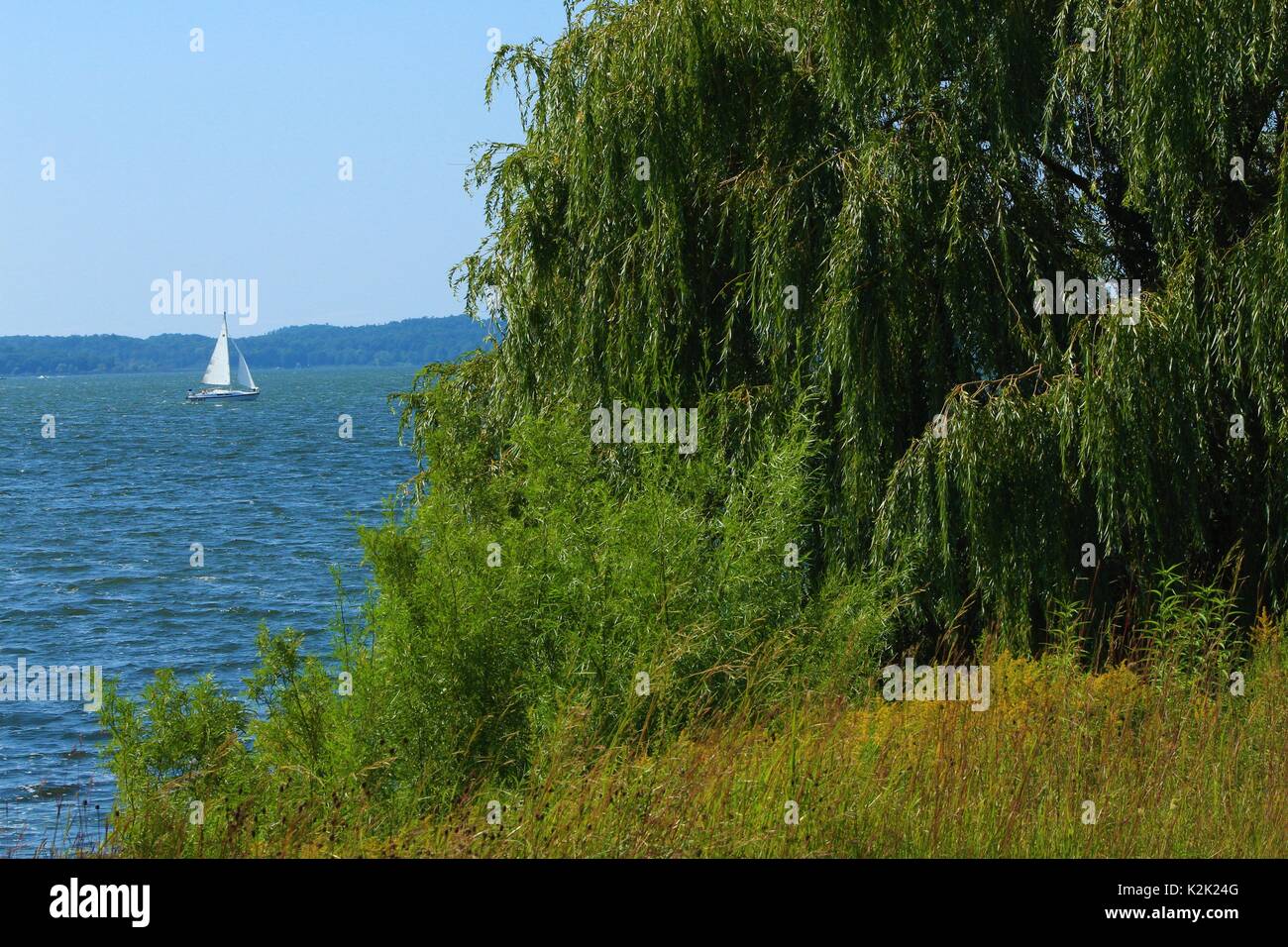 Lake shore scenery Stock Photo - Alamy