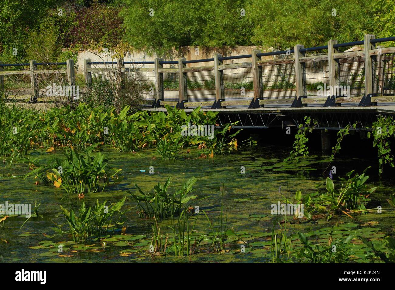 Lake shore scenery Stock Photo - Alamy