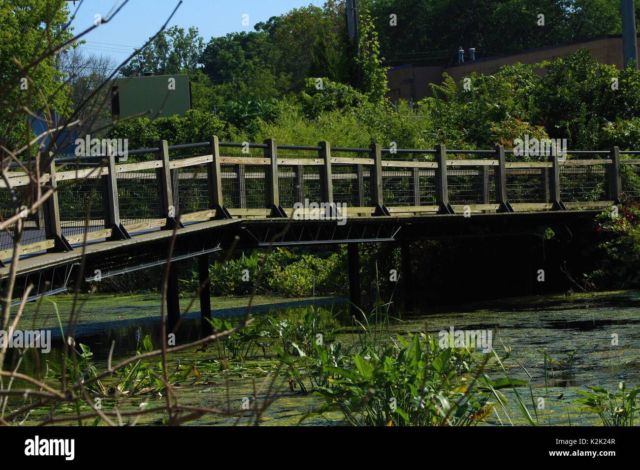 Lake shore scenery Stock Photo - Alamy