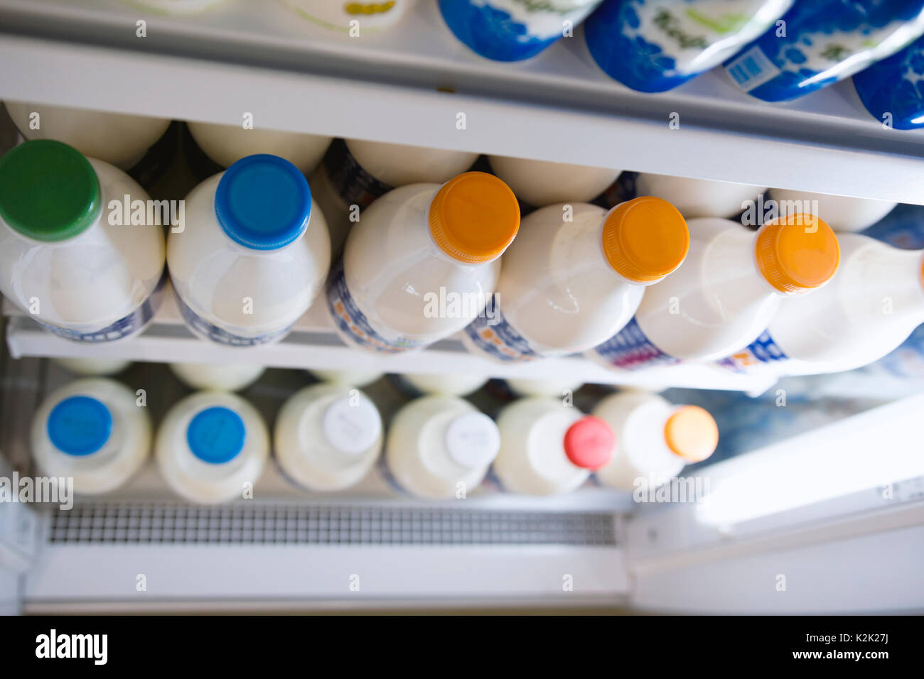 Milk bottle in a row in the supermarket, colored tube - top view Stock ...