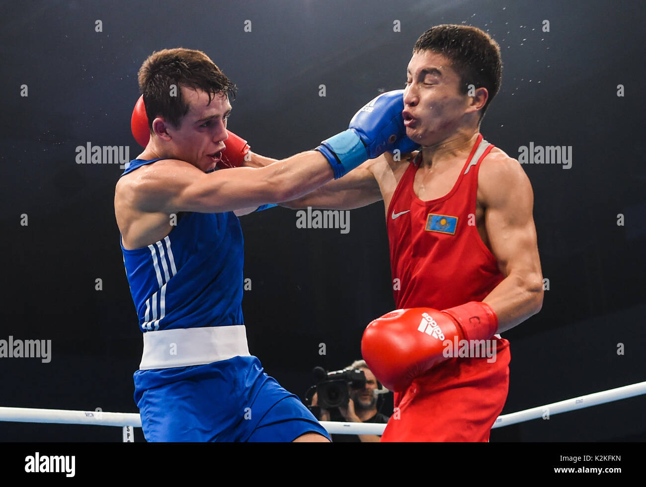 English boxer hi-res stock photography and images - Alamy