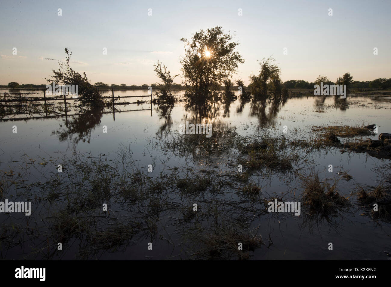 Gonzales, USA. 30th Aug, 2017. Farmland is inundated along the swollen ...