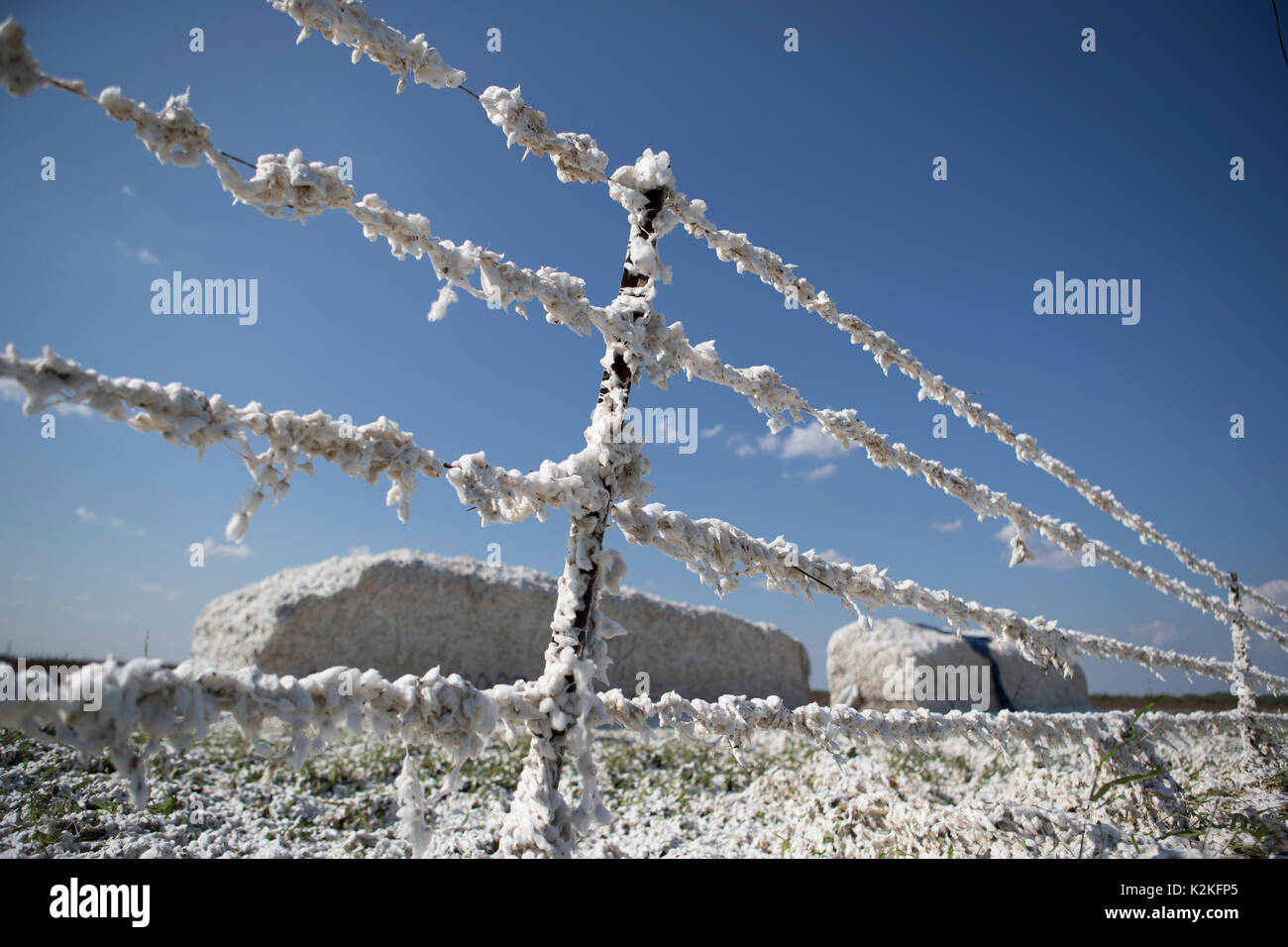 Loss and damage climate hi-res stock photography and images - Alamy