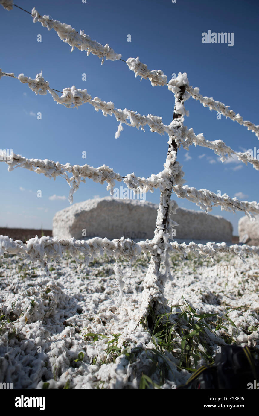 Crop devastation hi-res stock photography and images - Alamy