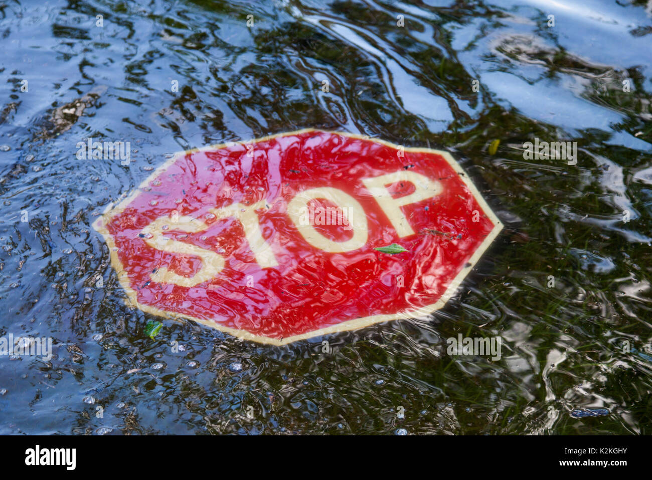 Houston, USA. August 31, 2017: A general view of a stop sign floating ...