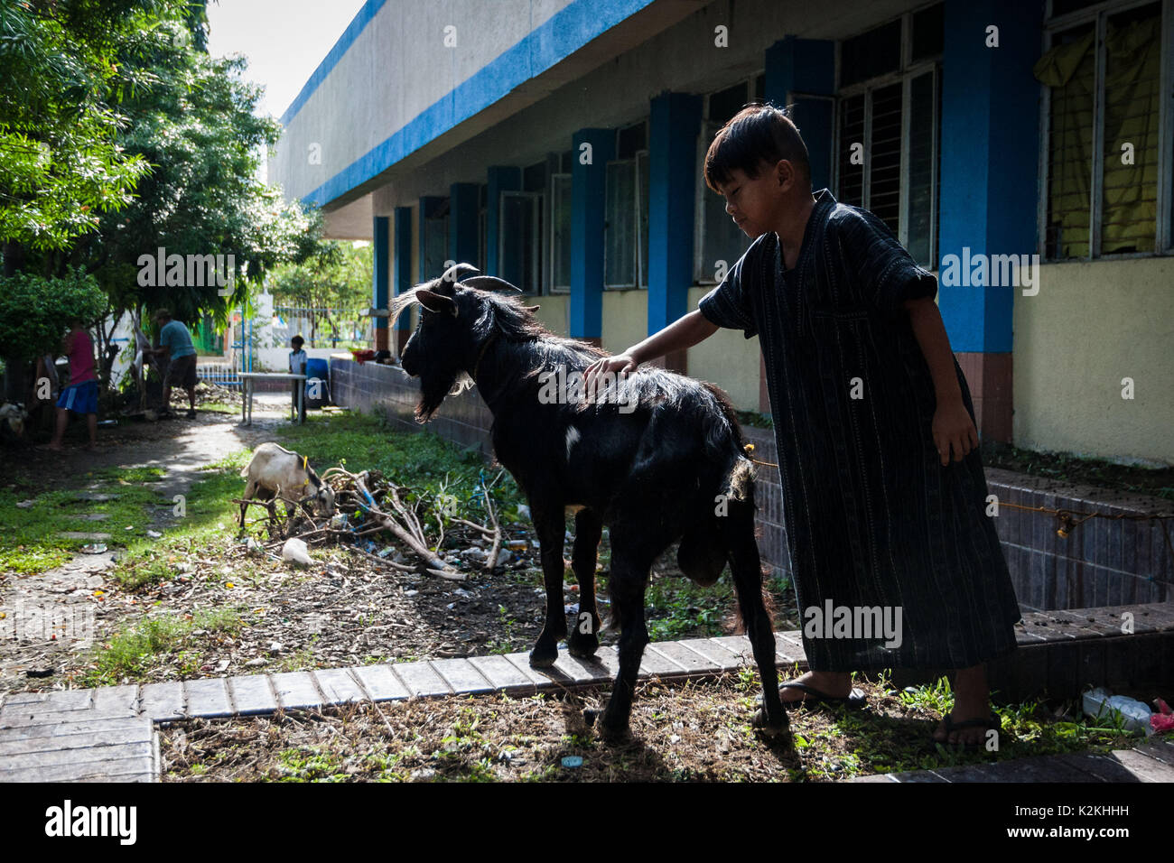 Slaughter of a goat hi-res stock photography and images - Alamy