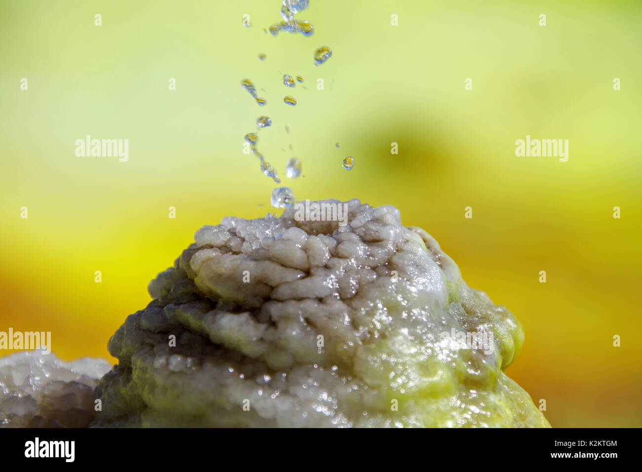Dallol volcano Danakil depression Ethiopia Stock Photo - Alamy