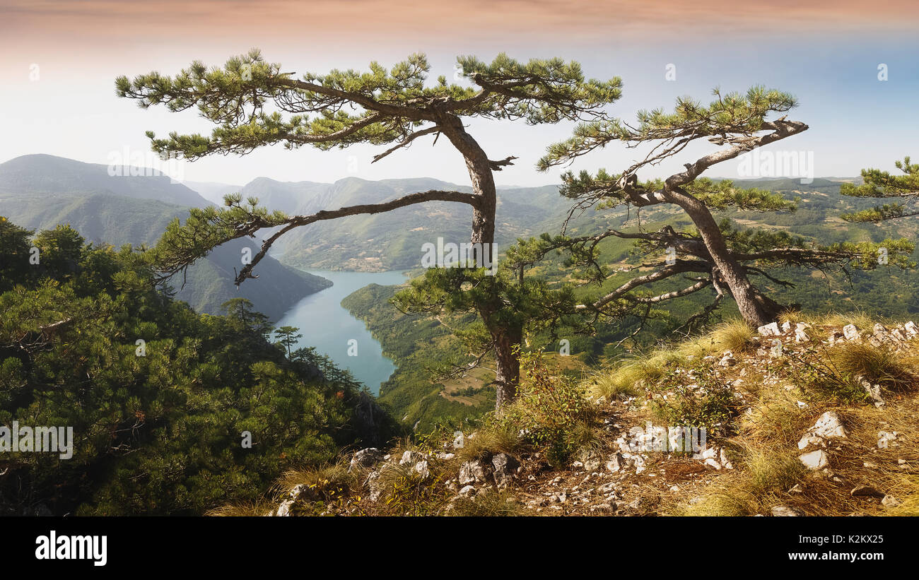 National Park Tara, Serbia. View from famous Banjska stena, Drina river ...