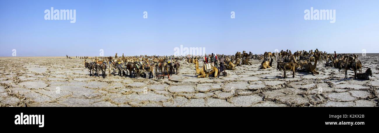 Afar depression hi-res stock photography and images - Alamy