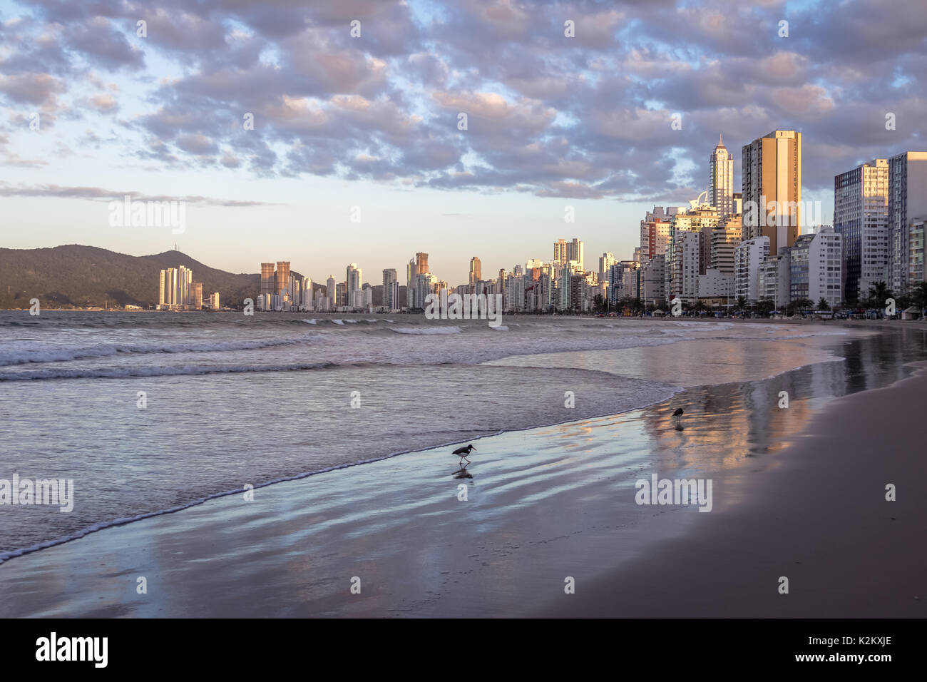Balneario Camboriu beach and skyline at sunset - Balneario Camboriu ...