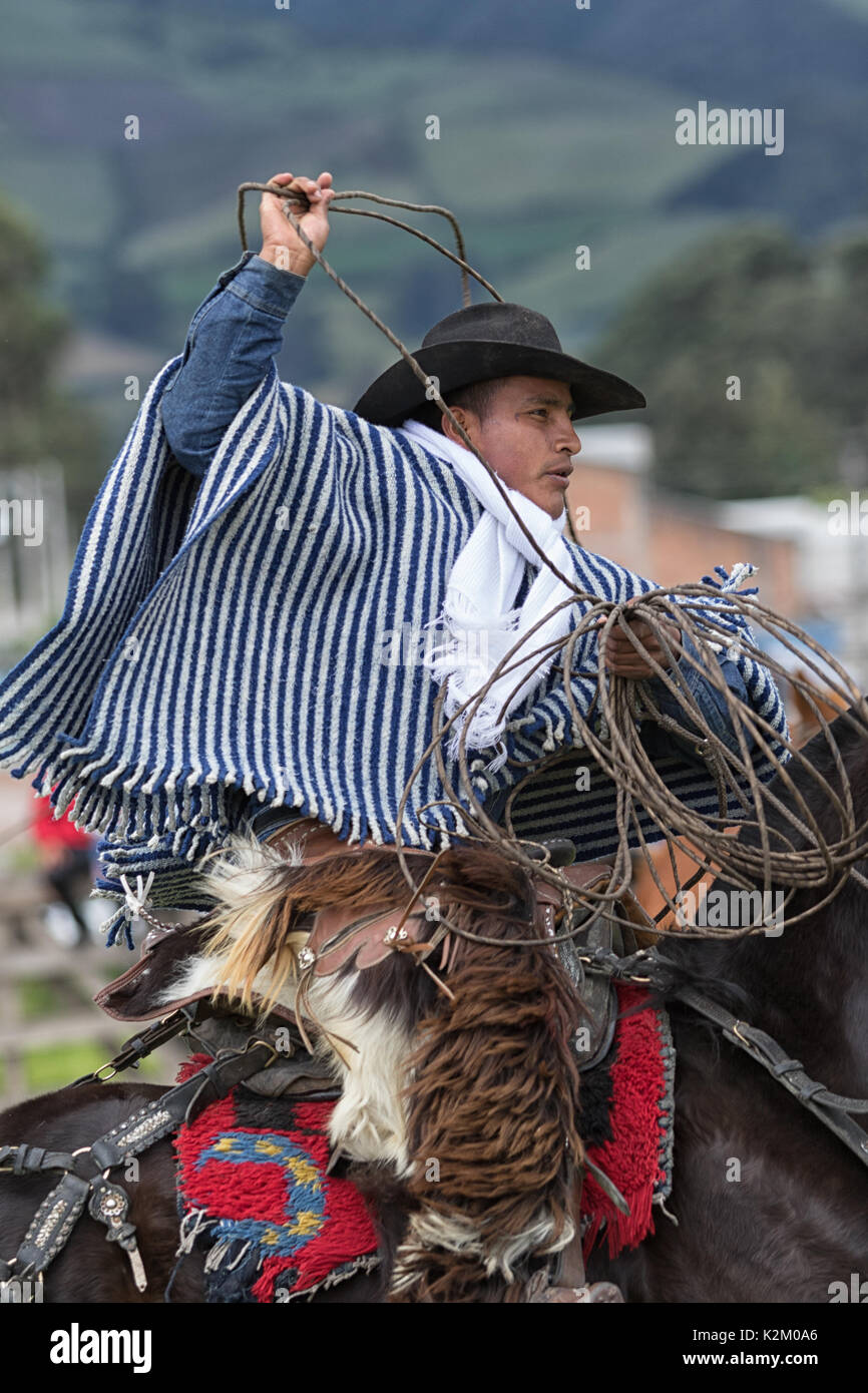 Cowboy lasso cattle hi-res stock photography and images - Alamy