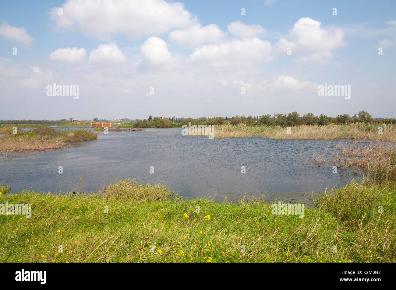 Wild nature, Agamon Emek Hefer Stock Photo - Alamy