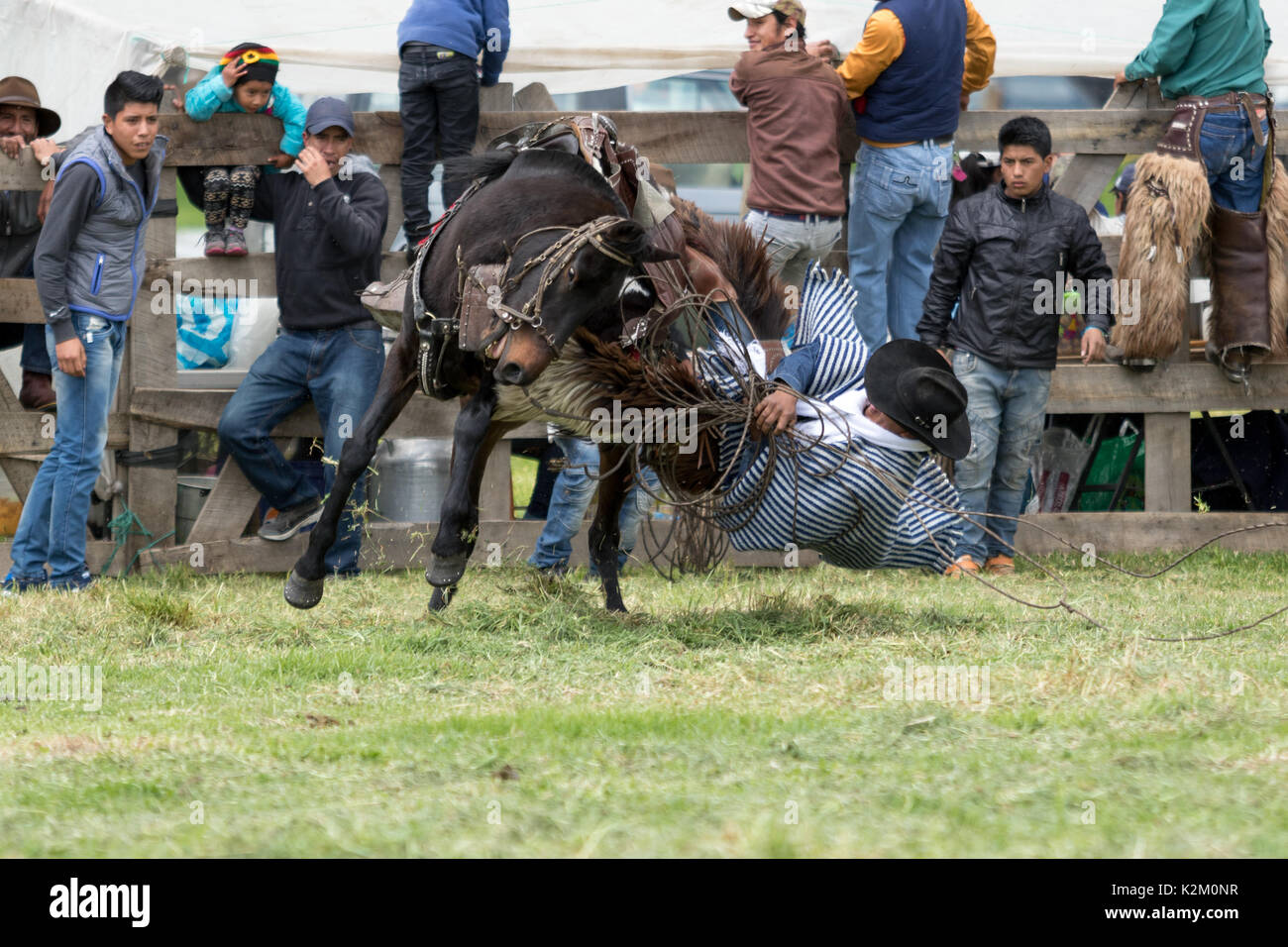 Rider falling off horse hi-res stock photography and images - Alamy